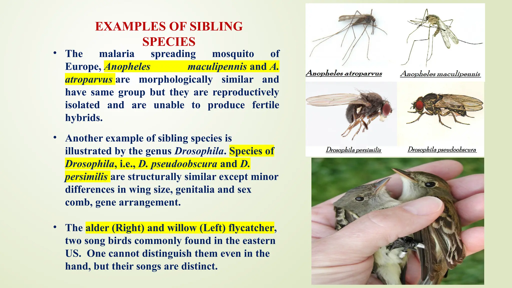 5.2.2 Biological species concept- (Sibling, polymorphic, polytypic ...