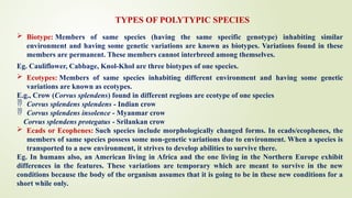 5.2.2 Biological species concept- (Sibling, polymorphic, polytypic ...