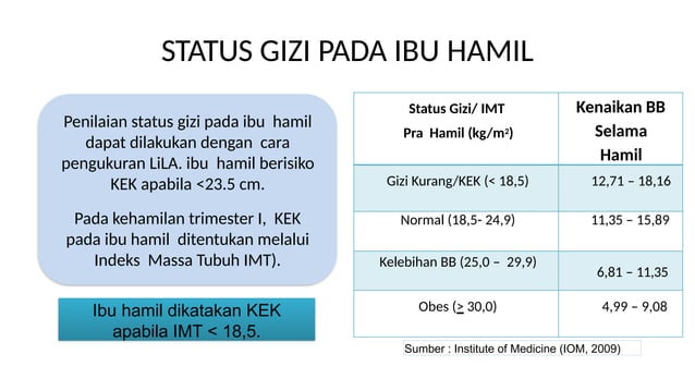 5. Bab 4 A 5 Pedoman Asuhan Gizi Ibu Hamil KEK | PPTX