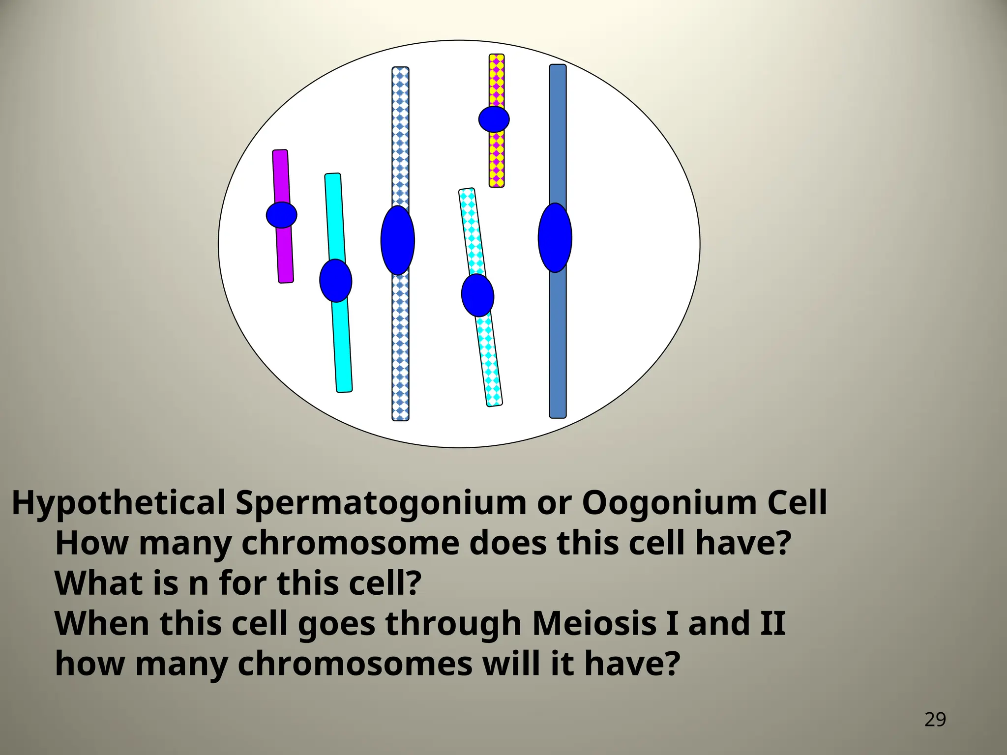 5. Fertilization-Early Embryo Development.ppt