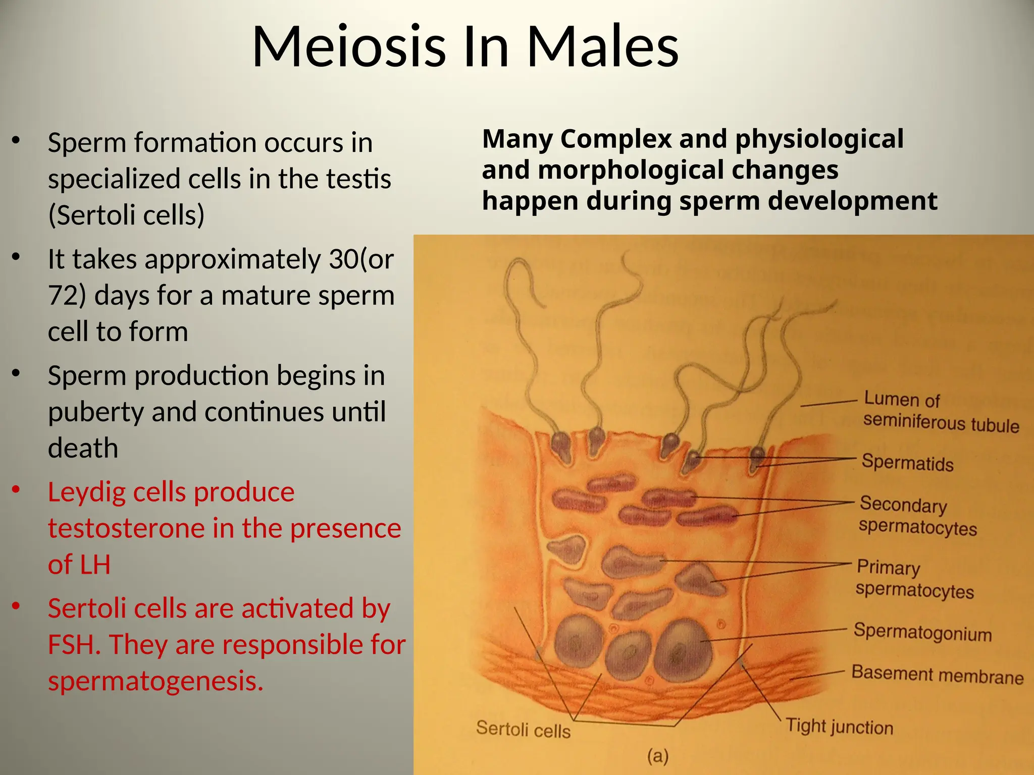 5. Fertilization-Early Embryo Development.ppt
