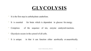 DPT - Biochemistry & Genetics - II (Metabolism of Carbohydrates ...