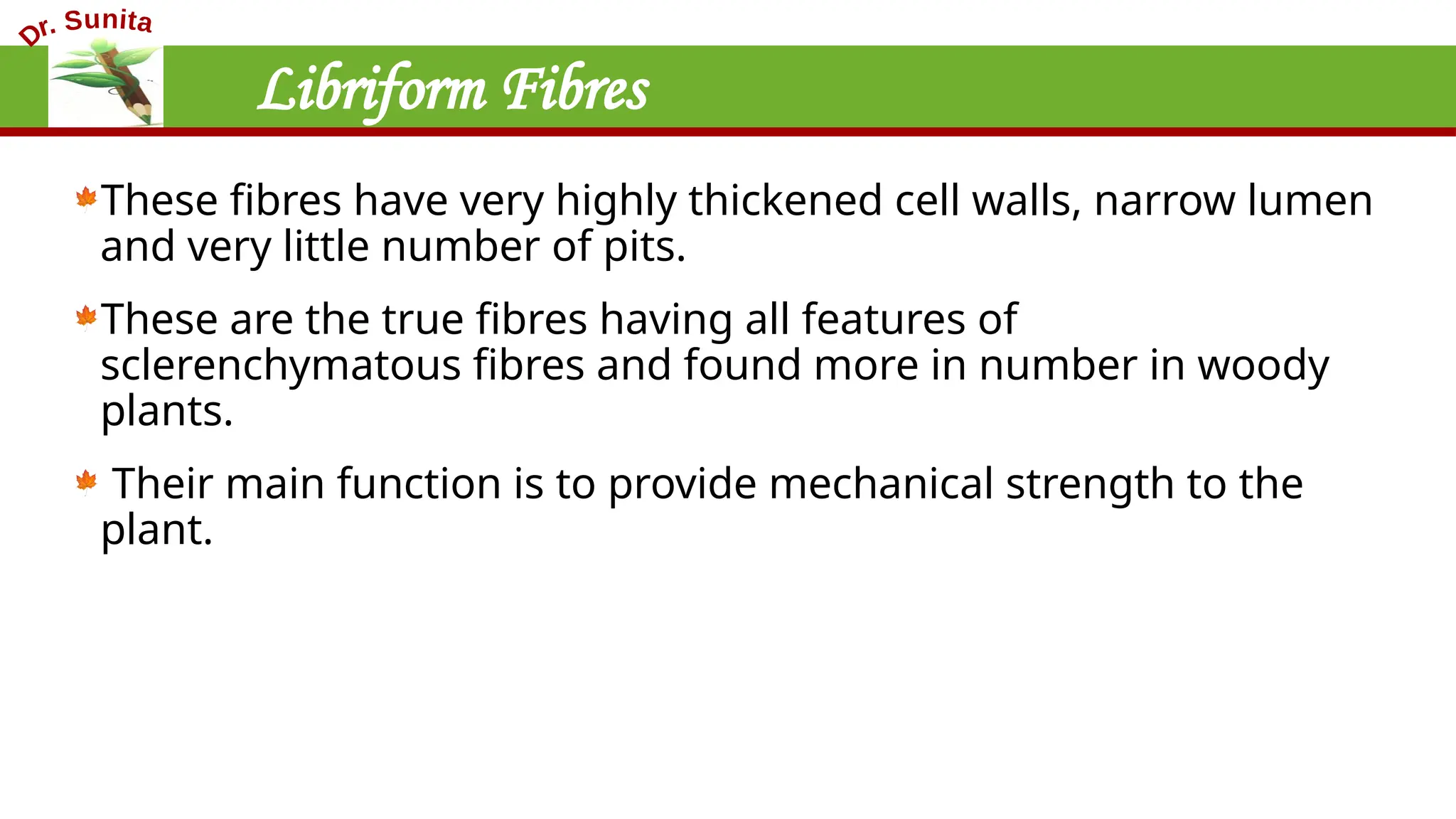 Xylem- complex permanent tissue in plants | PPTX