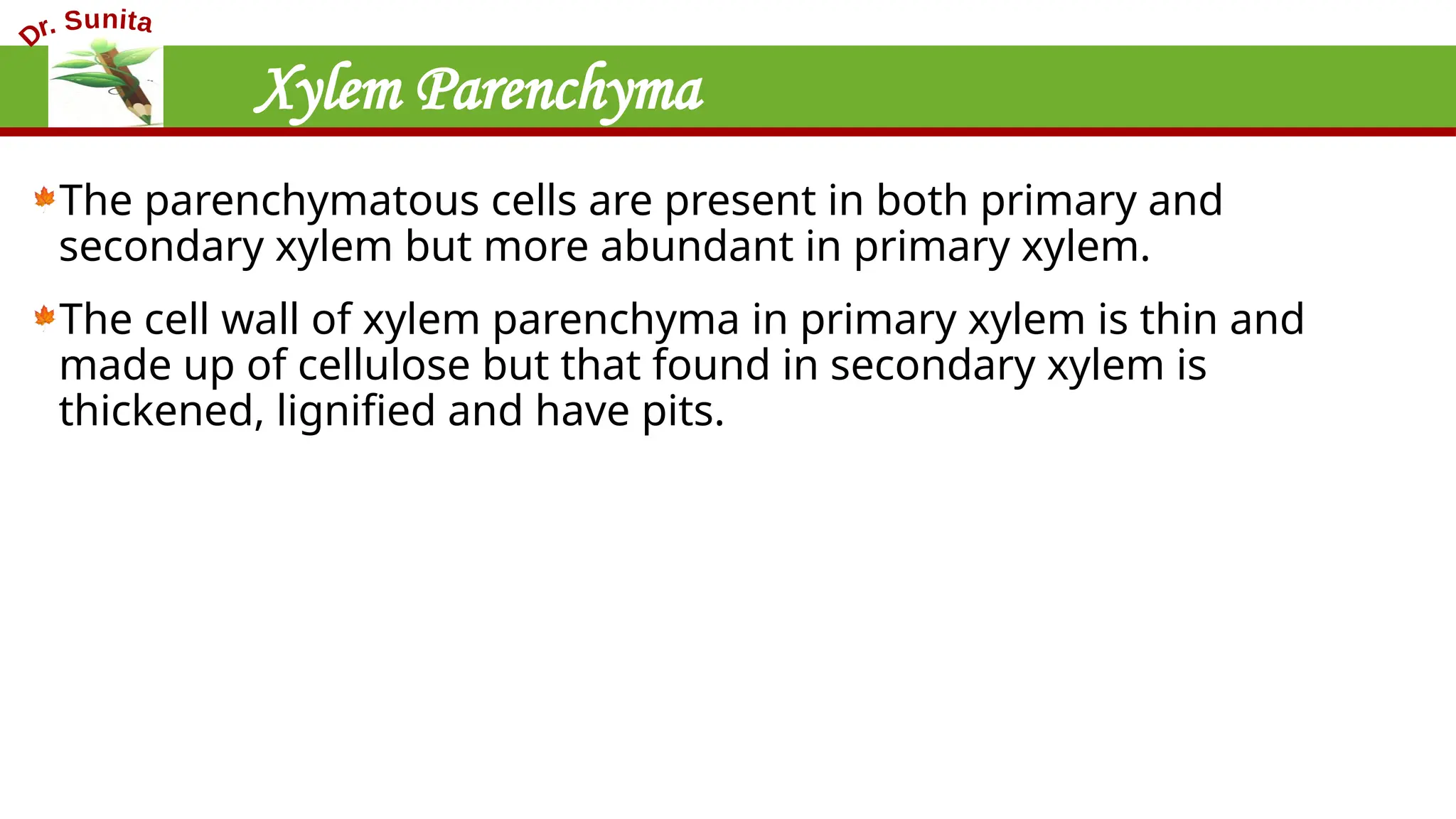 Xylem- complex permanent tissue in plants | PPTX
