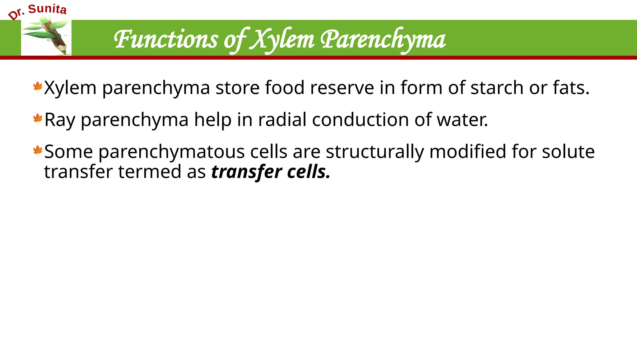 Xylem- complex permanent tissue in plants | PPTX