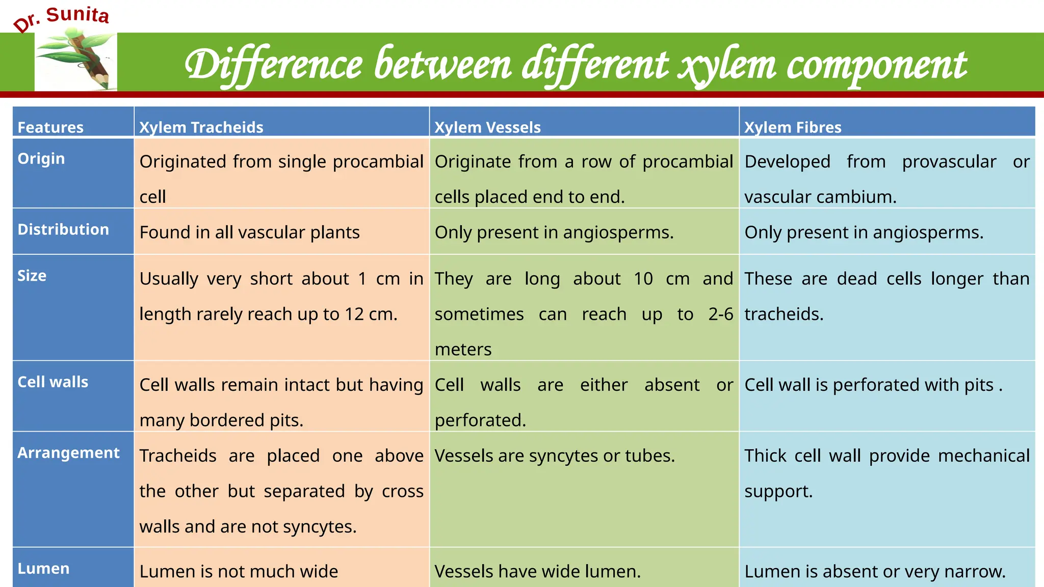 Xylem- complex permanent tissue in plants | PPTX