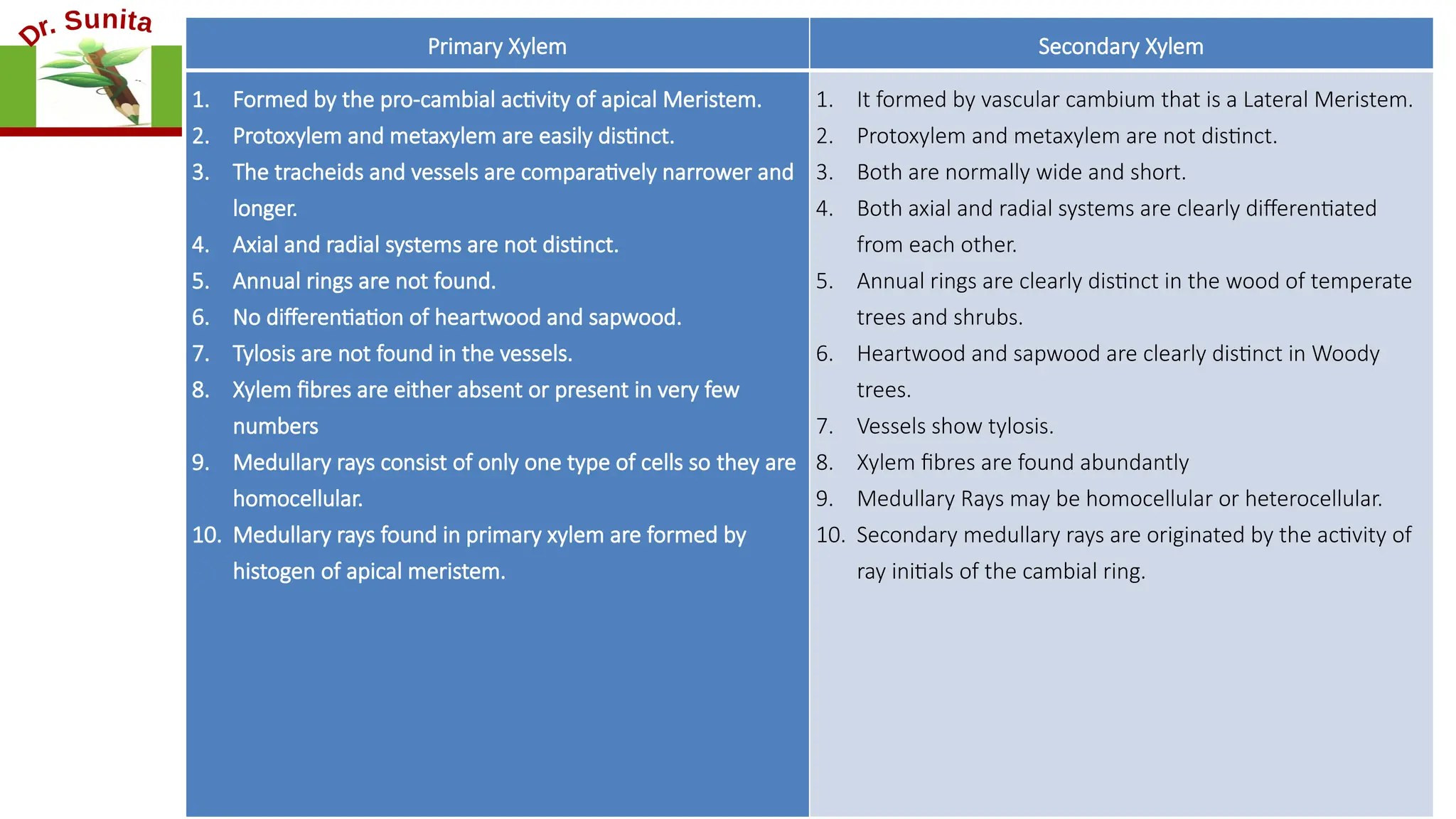 Xylem- complex permanent tissue in plants | PPTX