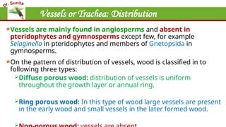 Xylem- complex permanent tissue in plants | PPTX