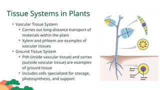Fundamentals of Agricultural Science -Plant Reproduction.pptx