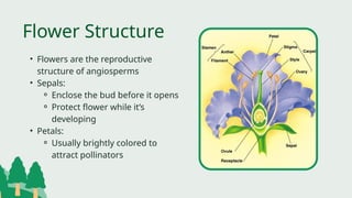 Fundamentals of Agricultural Science -Plant Reproduction.pptx