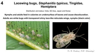 Pests of Banana_Integrated Pest Management_Dr.UPR.pdf