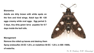 Pests of Grapevine_Integrated pest management_Dr.UPR.pdf