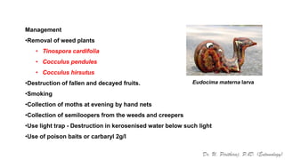 Pests of Grapevine_Integrated pest management_Dr.UPR.pdf