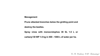 Pests of Grapevine_Integrated pest management_Dr.UPR.pdf