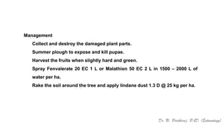 Pests of Guava_Integrated pest management_Dr.UPR.pdf