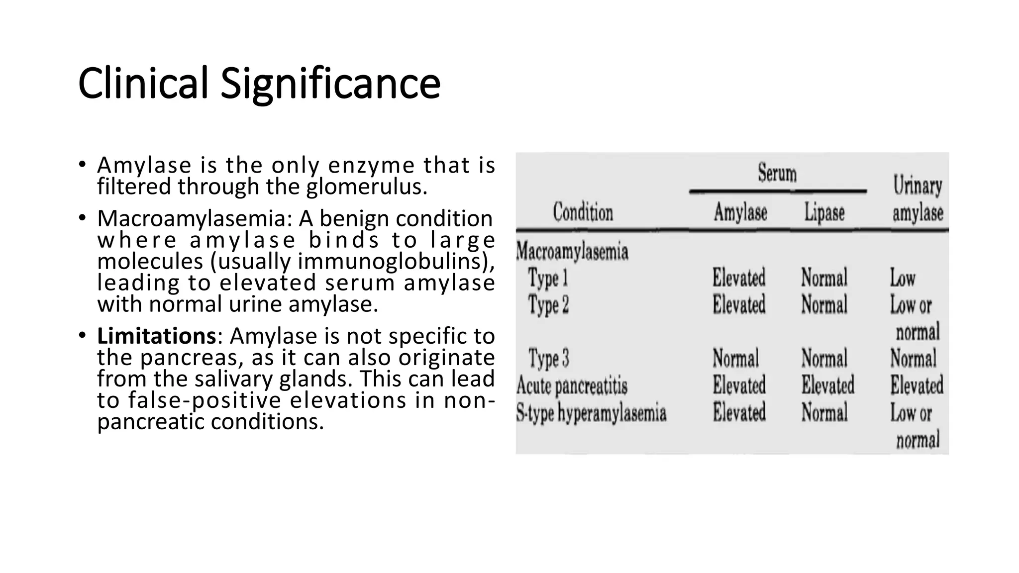 5.Pancreatic Enzymes. Exocrine function of pancreas Enzyme of pancreas ...