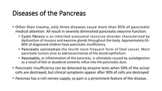 5.Pancreatic Enzymes. Exocrine function of pancreas Enzyme of pancreas ...