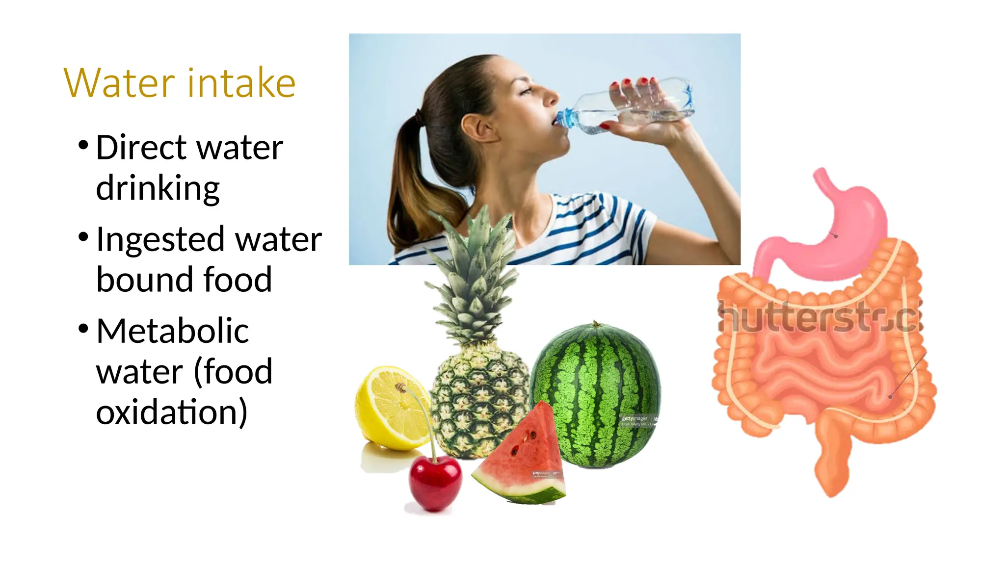 5.-Water-and-Electrolyte-Balance.p ptx | PPTX