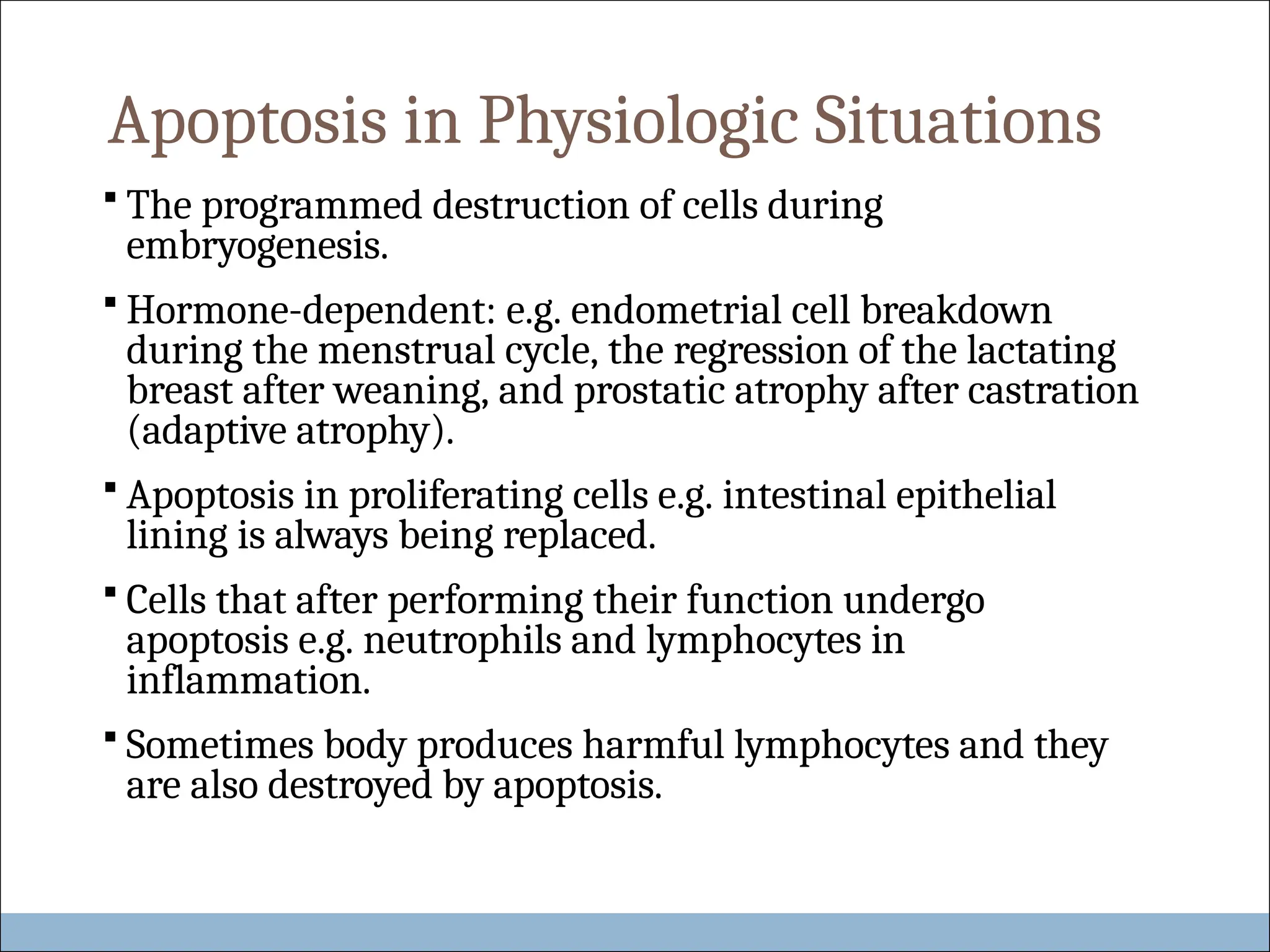 5. cell injury...APOPTOSIS ppt.programmed cell death | PPT