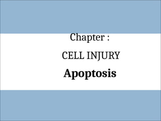 5. cell injury...APOPTOSIS ppt.programmed cell death | PPT