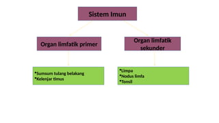 5.Pertemuan_5_(Materi Biologi Tentang Sistem_Imun).pptx
