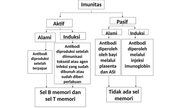5.Pertemuan_5_(Materi Biologi Tentang Sistem_Imun).pptx