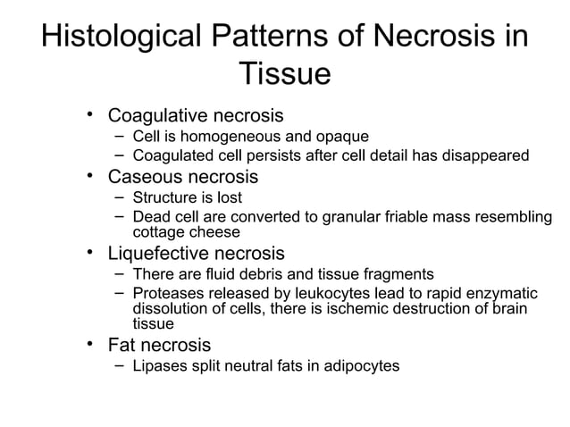 5. Necrosis.ppt 6877987969879877987987878 | PPT
