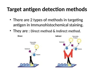 5. Detection methods in IHC. Direct and indirect | PPTX | Medical Health