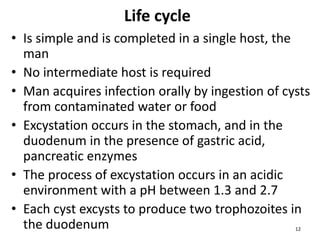 5.Intestinal Flagellates - Giardia Lamblia.pdf
