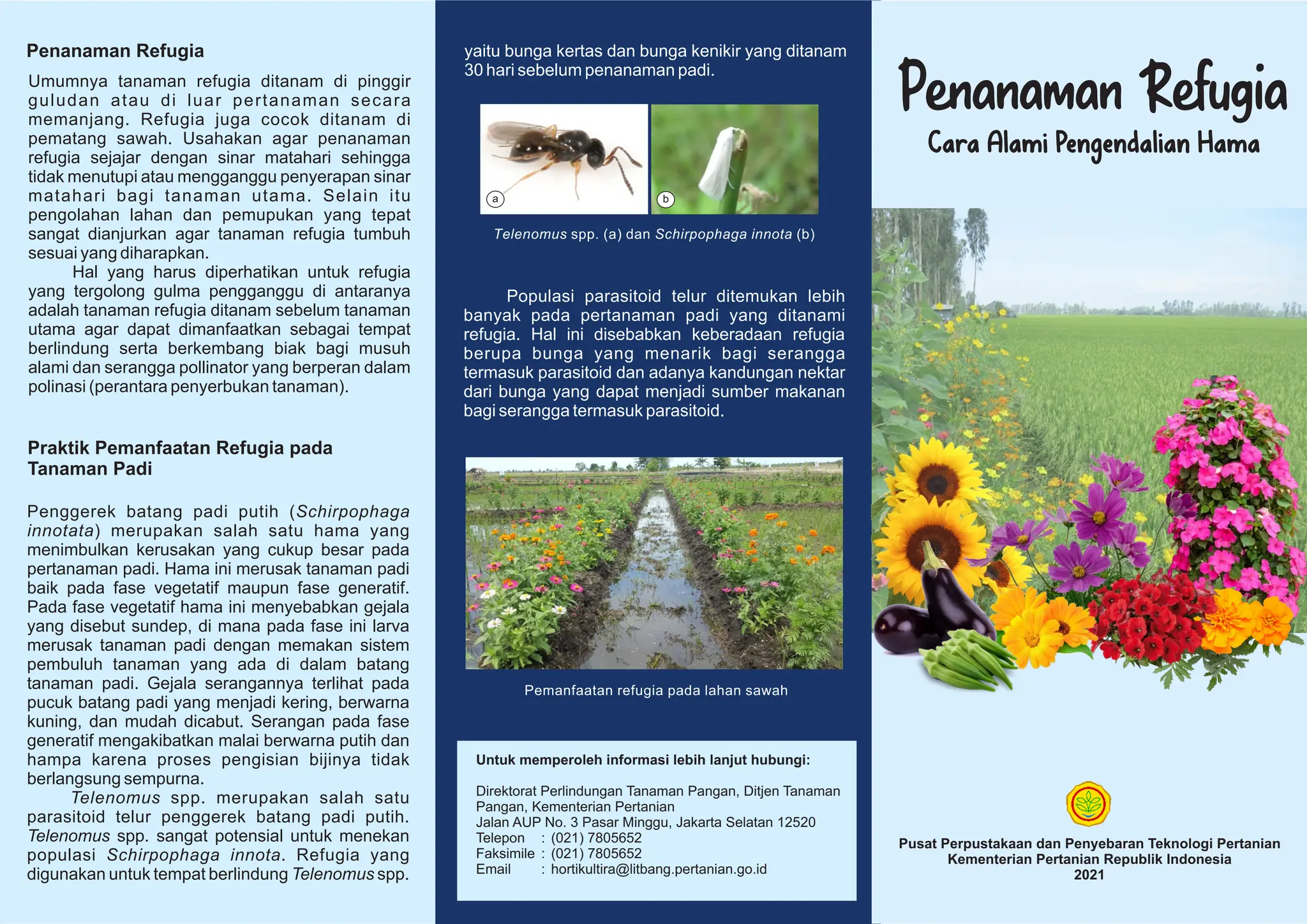 Konservasi Musuh Alami dengan Penanaman Tanaman Refugia | PPT