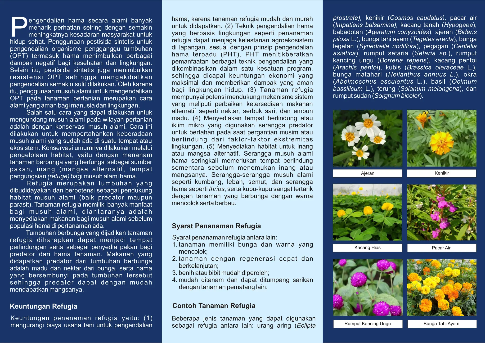 Konservasi Musuh Alami dengan Penanaman Tanaman Refugia | PDF