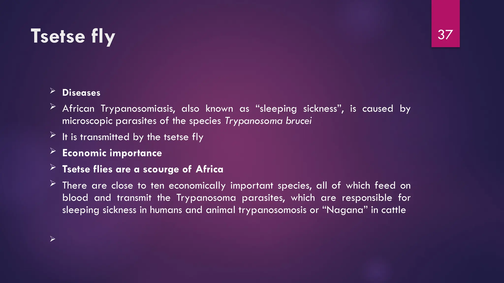 5.Vectors of humans and domestic animals-1.pptx