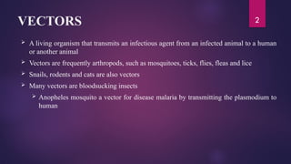 5.Vectors of humans and domestic animals-1.pptx