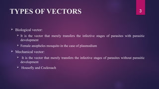5.Vectors of humans and domestic animals-1.pptx