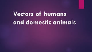 5.Vectors of humans and domestic animals-1.pptx