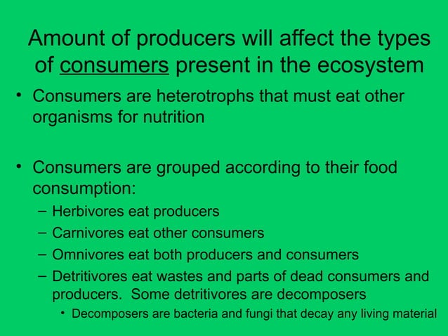 5. Energy Transfer in Ecosystems 0809 WEBSITE.ppt