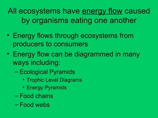 5. Energy Transfer in Ecosystems 0809 WEBSITE.ppt