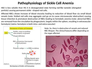 Hemoglobinopathies (thalassemia and SCA) | PPT