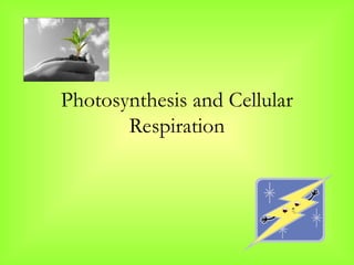 Photosynthesis and Cellular Respiration in Cells | PPT