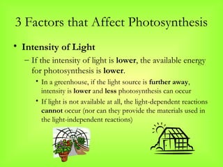 Photosynthesis and Cellular Respiration in Cells | PPT