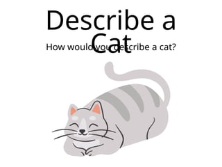 Adjectives explanation and quiz and activity .pptx