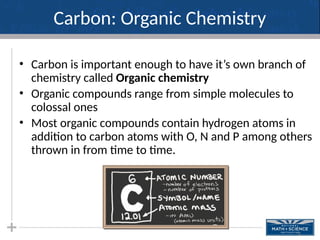 5. Carbon and the Molecular Diversity of Life.pptx