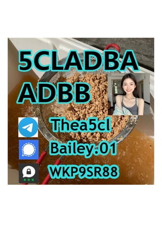 5CLADBA 5CL-ADB-A 5cladb 5cl-adb-a strongest Original jwh018 | PDF