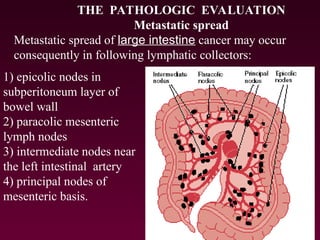 Colorectal cancer in details cfu univ.ppt