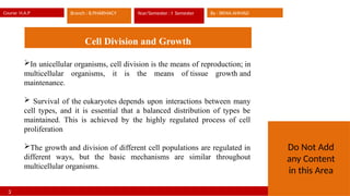 Cell Division In Human Beings...ppt.pptx