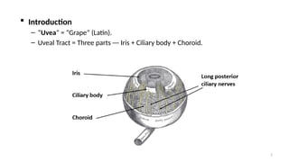5. Uveitis (2) (3) presentation of .pptx
