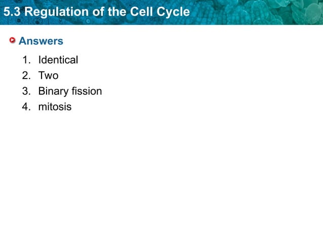 cell cycle and its application in tissue engineering | PPT