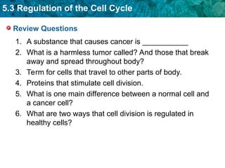 cell cycle and its application in tissue engineering | PPT