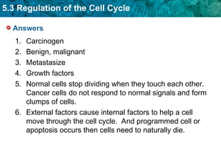 cell cycle and its application in tissue engineering | PPT