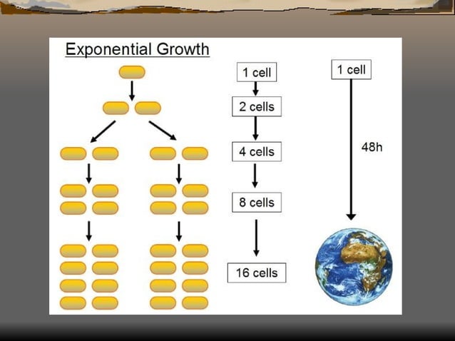 5.1 ppt.pptx how to population growth control | PPT